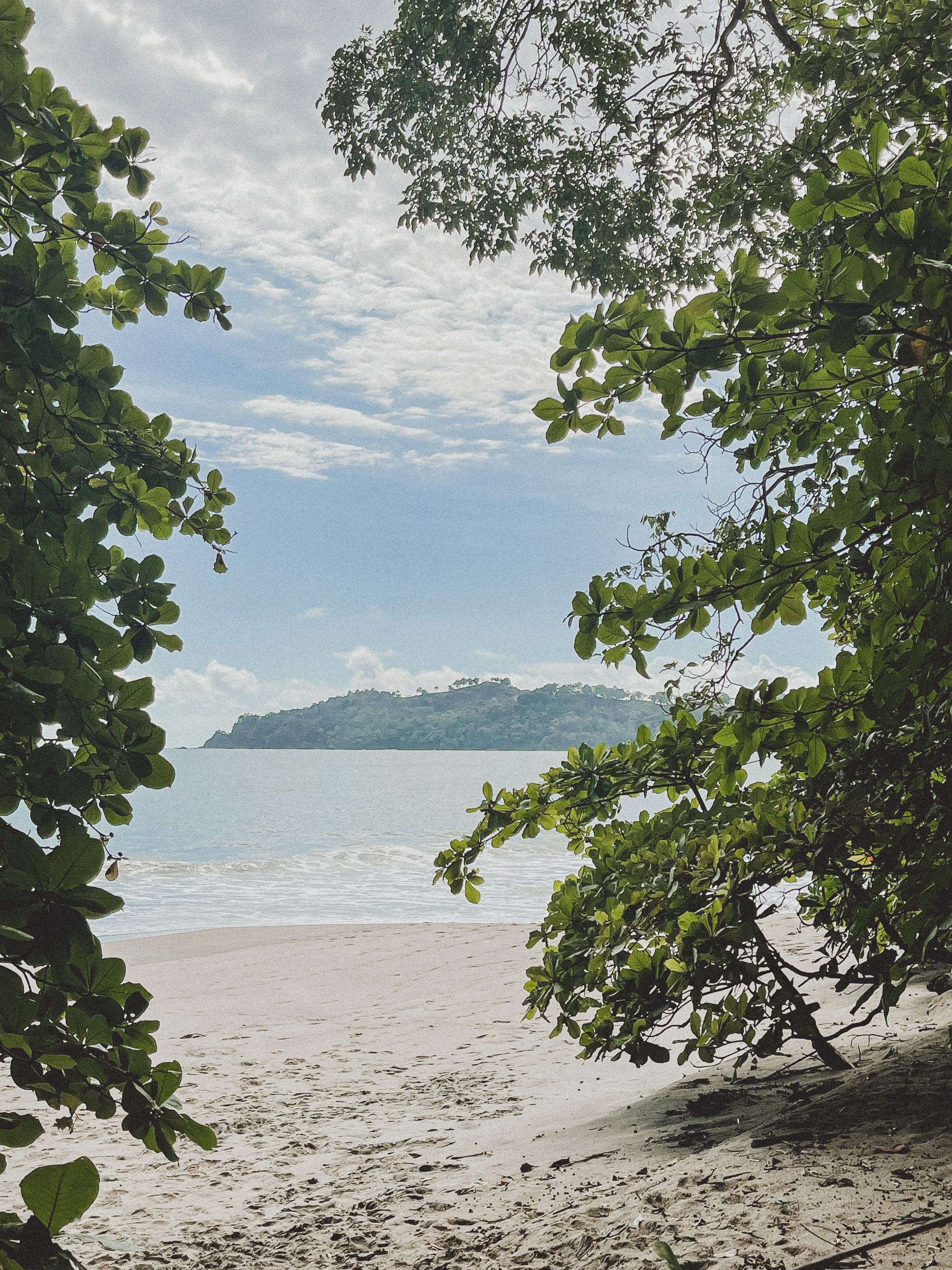 6 Best Things To Do In Manuel Antonio | Ultimate Travel Guide | Wylde ...