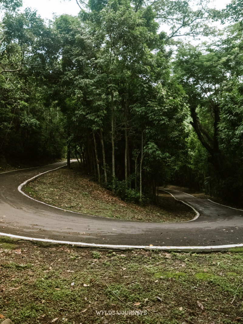 Ancon Hill Hike In Panama City | Everything You Need To Know | Wylde ...