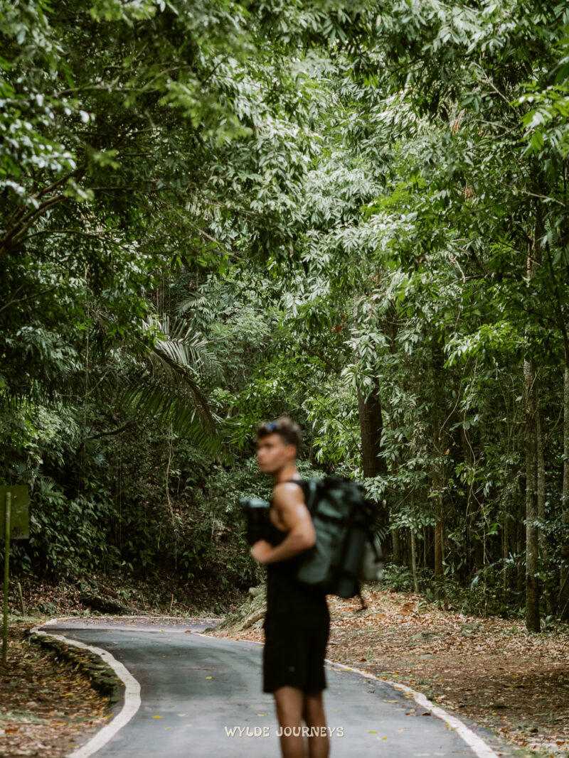 Ancon Hill Hike In Panama City | Everything You Need To Know | Wylde ...